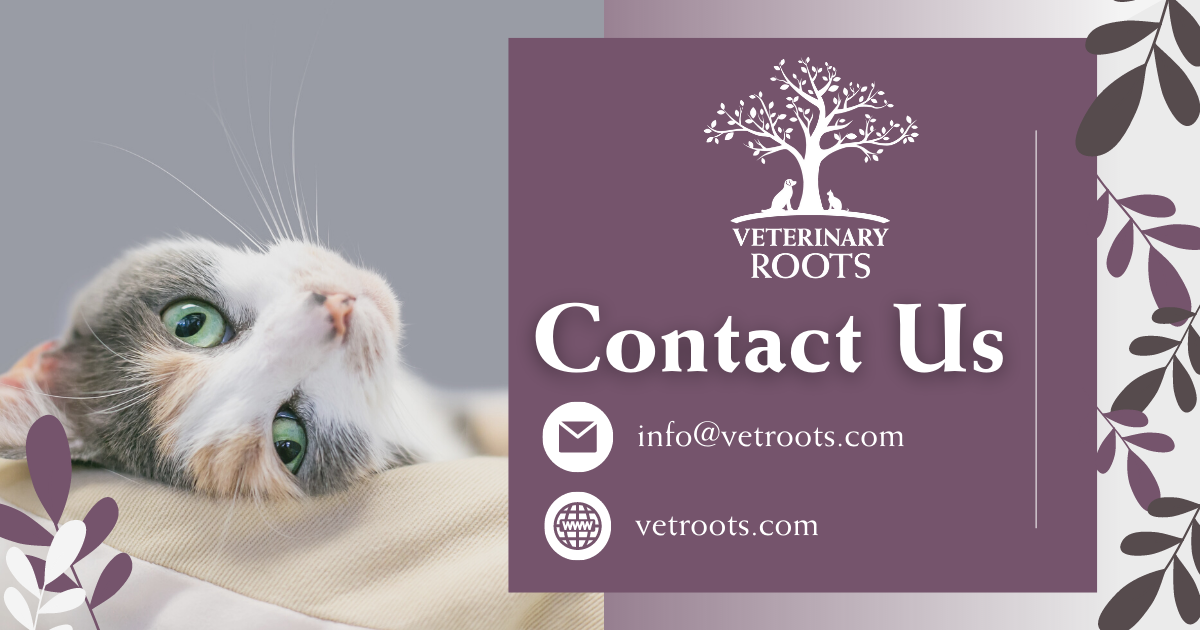 Contact - Veterinary Roots