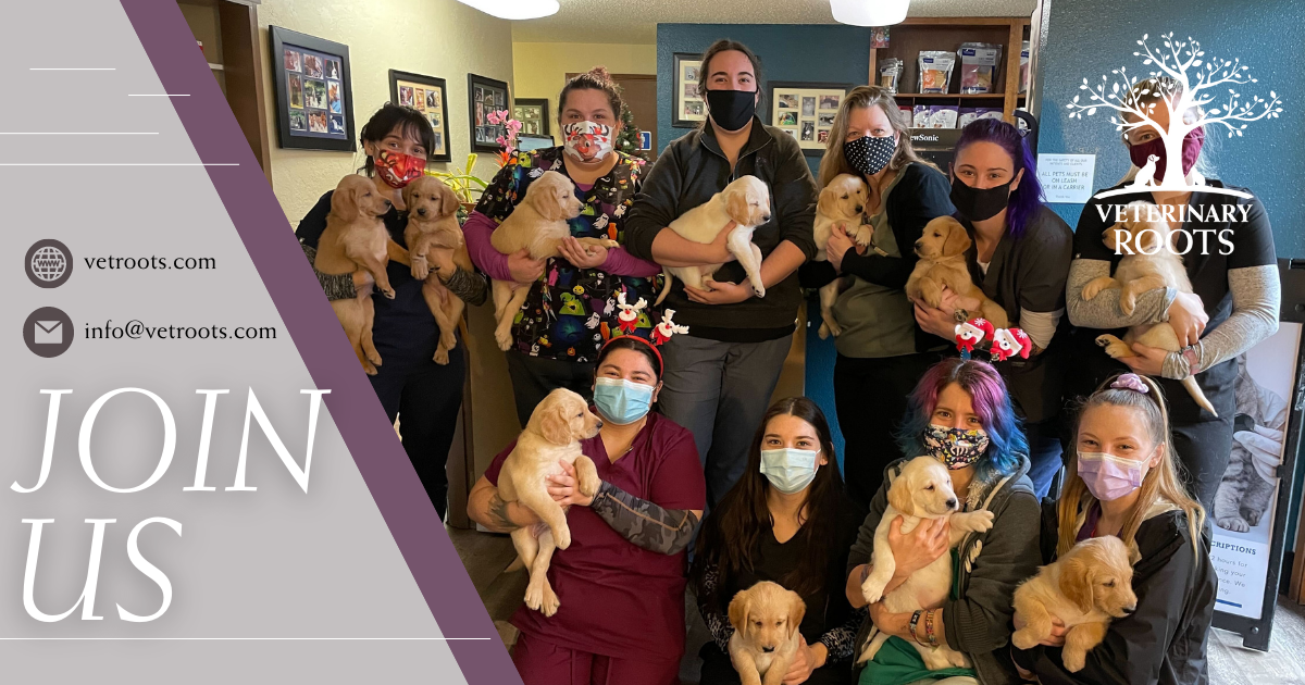 Join Us - Veterinary Roots