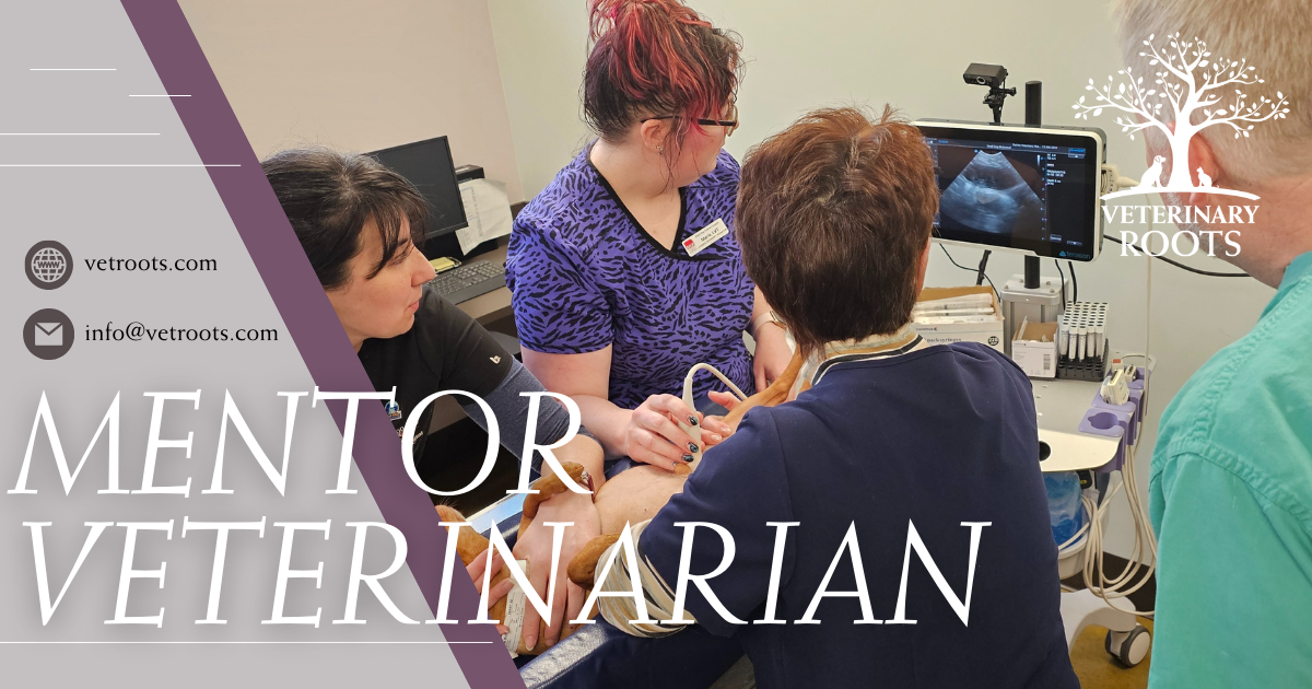Mentor Veterinarian Wanted - Veterinary Roots - Help Early-Career ...